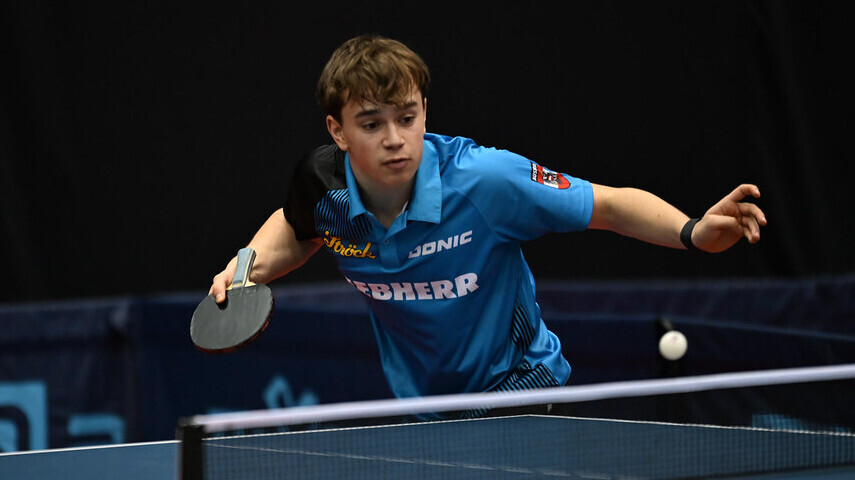 Fünf neue Spieler! Wr. Neustadt bereit für „Operation Meistertitel ...